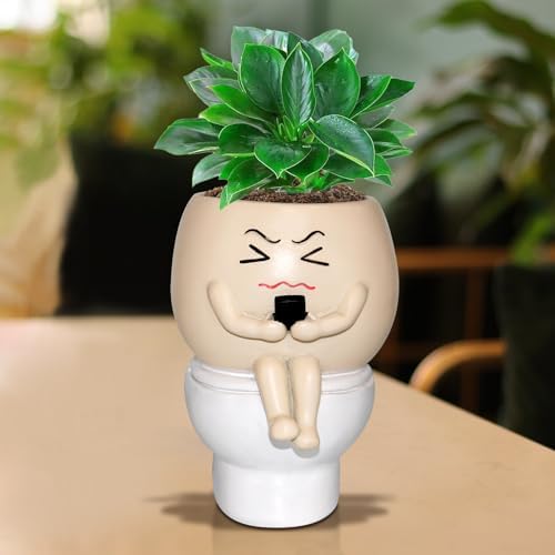 Amazon.com : Face Planter Pots Funny Toilet Plant Pot for Indoor Plants ...