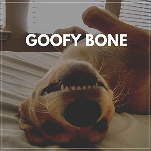 Spiele Goofy Bone von Sleeping Music For Dogs & Music for Calming Dogs ...