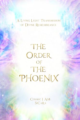 Transmission Light – The 15 best products compared - Your Motor Guide