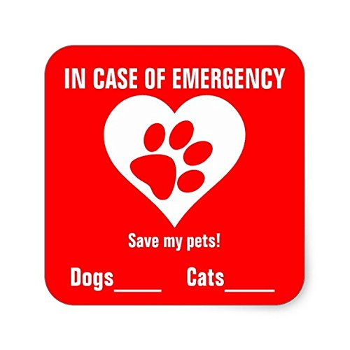 Stick Your Pet Everywhere: Top 10 Pet Stickers Reviewed and Rated ...