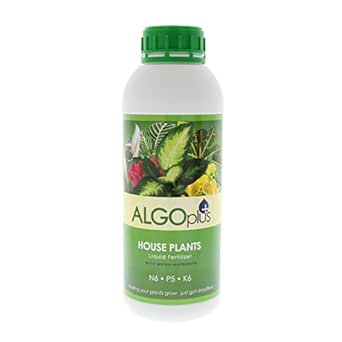 Amazon.com : ALGOplus House Plants : Patio, Lawn & Garden