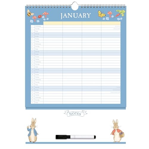 Peter Rabbit 2025 Family Organiser Wall Calendar – BigaMart