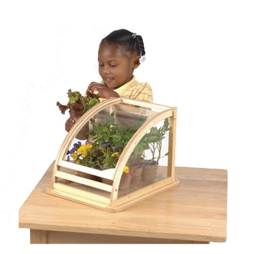 Amazon.com: Tabletop Greenhouse W/Vegetable Garden Kit : Patio, Lawn ...