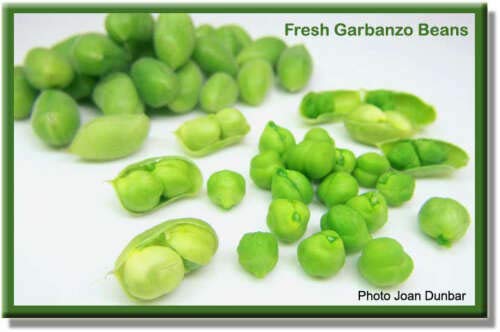Are Garbanzo Beans A Vegetable