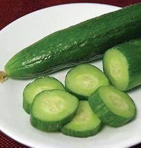 Amazon.com : Beth Alpha Cucumber Seeds [100 - Seeds] : Patio, Lawn & Garden
