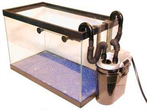 KollerCraft TOM Rapids Mini Canister Filter, 80 GPH : Amazon.in: Pet ...