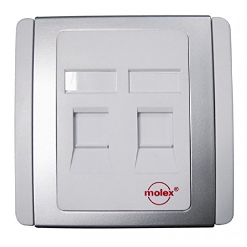 Molex Face Plate Dual Port - Keystone WPJ-00026-02 : Amazon.in ...