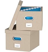 Amazon.com: DYWMM Hanging File Box with Lid, Set of 2 Filing Organizer ...