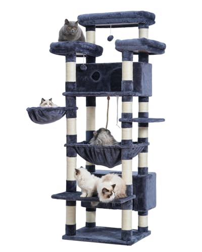 Big Cat Tree – The 15 best products compared - Wild Explained