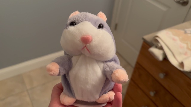 Watch Real review Talking Hamster on Amazon Live