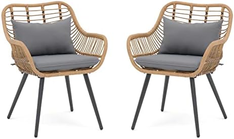 Amazon.com: Soleil Jardin Patio Dining Chairs Set of 2 with Wood Legs ...