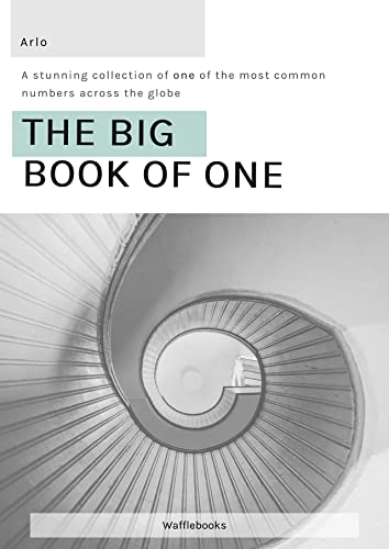The Big Book of One: A stunning collection of ONE of the most common ...
