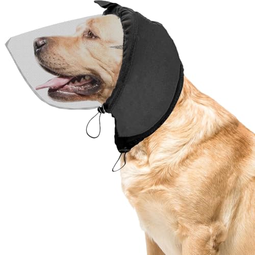 Foxtail Dogs – The 15 best products compared - Wild Explained