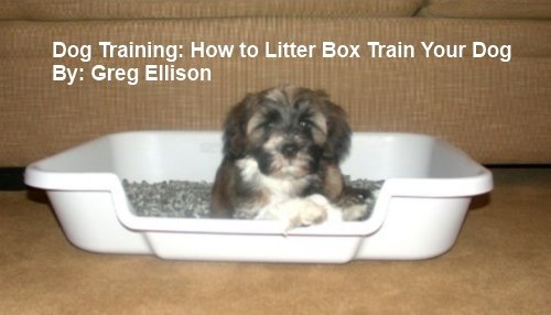 Dog Training: How to Litter Box Train Your Dog eBook : Ellison, Greg ...