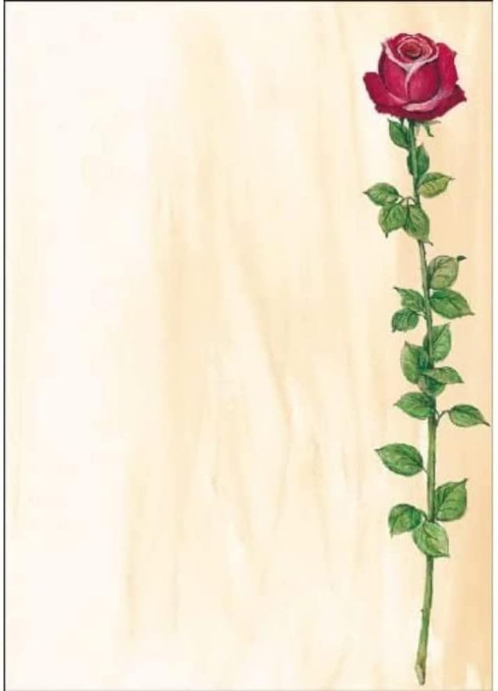 Amazon.com: SIGEL DP695 Writing paper "Rose Bloom", A4, 90 gsm, 25 ...