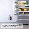 Amazon.com: Power Failure Alarm 2 Pack, Freezer Power Outage Alarm 7 ...
