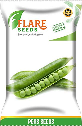 FLARE SEEDS PEAS MATAR SEEDS - 100 SEEDS PACK, Brown, Small, (matarsids ...