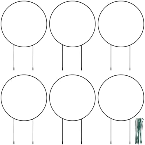 Amazon.com : HOZEON 6 PCS Circular Trellie 13.4 Inch Round Indoor Plant ...