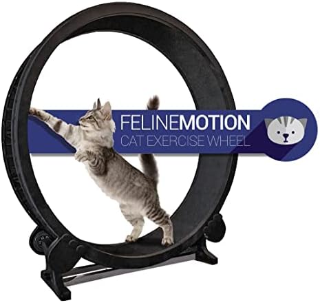 Keyzone Cat Wheel, Cat Exercise Wheel For Indoor Cats, Cat Running ...