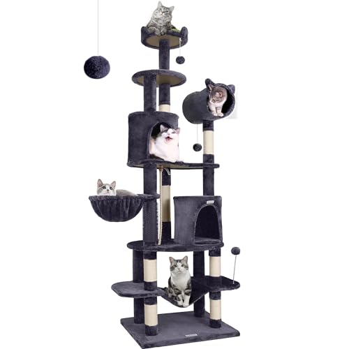 Tall Cat Tower – The 15 best products compared - Wild Explained