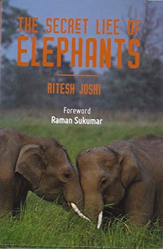 Buy THE SECRET LIFE OF ELEPHANTS Book Online at Low Prices in India ...