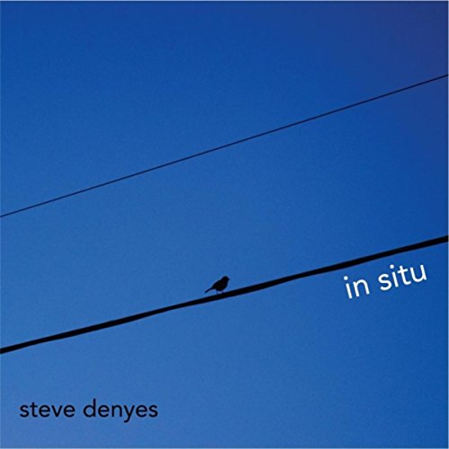 Amazon.com: In Situ : Steve Denyes: Digital Music