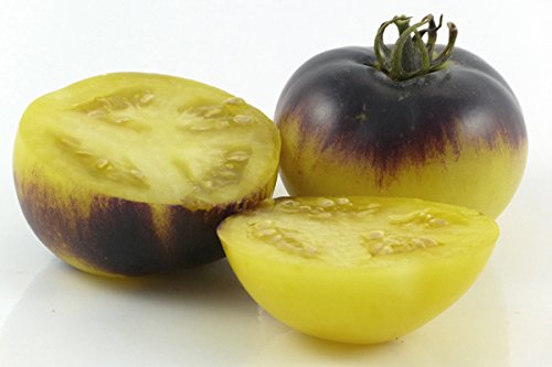 Great White - imported exotic tomato seeds : Amazon.in: Garden & Outdoors