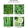 Amazon.com: NEST Fragrances Midnight Moss & Vetiver Reed Diffuser, 5.9 ...