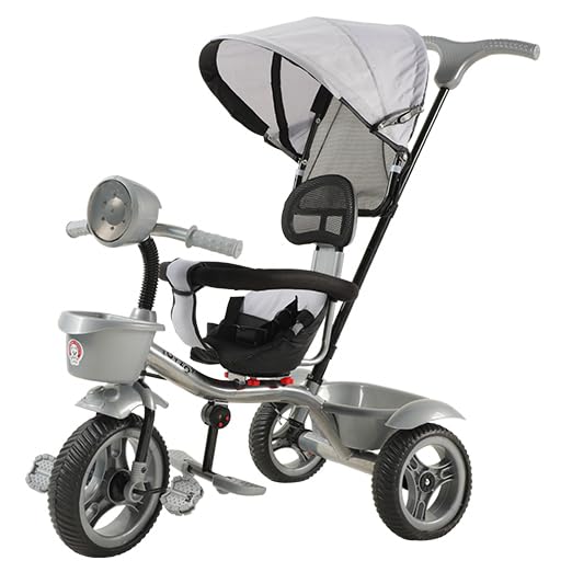 JoyRide 4 in 1 Reversible Tricycle for Kids Toddler Trike with Music ...