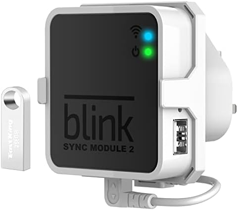 256GB USB Flash Drive and Outlet Mount for Blink Sync Module 2, No ...