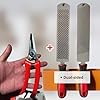 Amazon.com: goat hoof trimmers with Mini Hoof rasp File (8-inch) - Nail ...