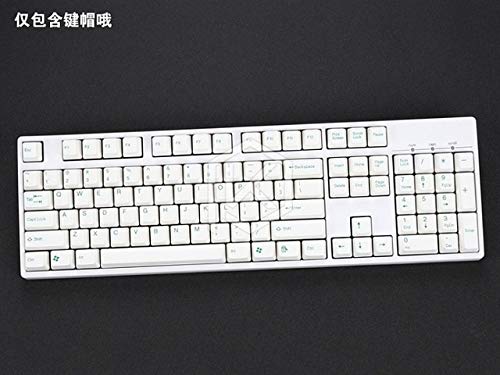 Double Shot Keycap Taihao Abs Double Shot Keycaps For Diy | Desertcart ...