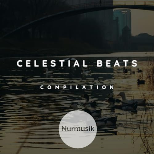 Amazon.co.jp: Celestial Beats : Elecsia Deep: Digital Music