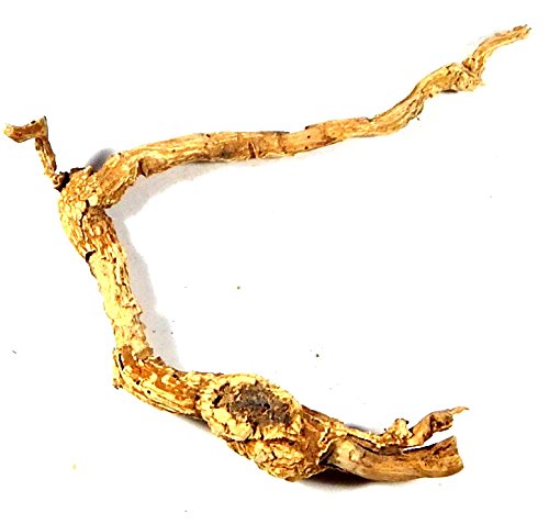 Urancia® Shwetark Swayambhu Swetharka Ganapathi No Carving No ...