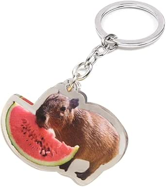Fcnjsao Key Chain Creative-Capybara Acrylic Keychain Keyring Cartoon ...