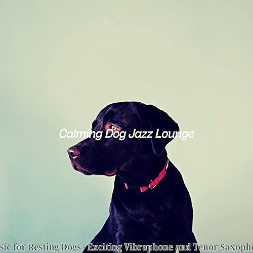 Music for Resting Dogs - Exciting Vibraphone and Tenor Saxophone de ...