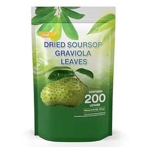Amazon.com : NalLife Soursop Leaves for Tea 200 Leaves : Grocery & Gourmet Food