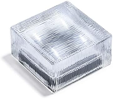 8x4 Solar Brick Landscape Light, 6 Cool White LEDs, Textured Glass ...