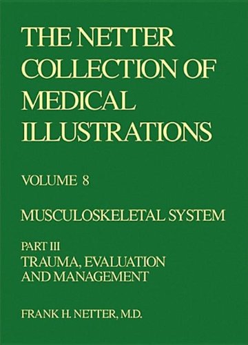 Amazon | The Netter Collection of Medical Illustrations ...
