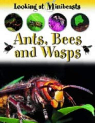 MINIBEASTS ANTS BEES & WASPS: Amazon.co.uk: 9781841388069: Books