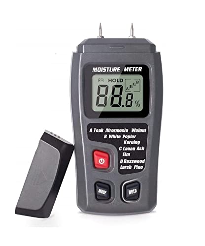 Amazon.in Hot New Releases: The bestselling new and future releases in ...