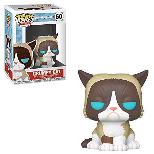 Pop Cat – The 15 best products compared - Wild Explained