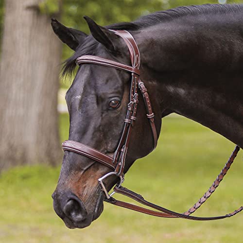 Discover the Best Monocrown Bridles of 2021: The Ultimate Buying Guide ...