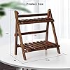 Amazon.com: Jotsport 2 Tier Tabletop Plant Stand Step Style Desktop ...