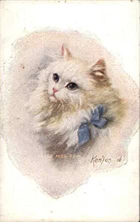 Miss Prim Cats Original Antique Postcard at Amazon's Entertainment ...