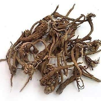 VEDHAHI Plants Mandar, Rui, Aak, Arka, Toolaphala Root 100 Gram, Aak ki ...