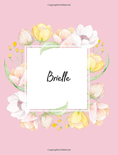 Brielle: 110 Ruled Pages 55 Sheets 8.5x11 Inches Water Color Pink ...
