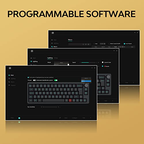 Epomaker TH66 Pro 65% Hot Swappable RGB 2.4Ghz/Bluetooth 5.0/Wired ...