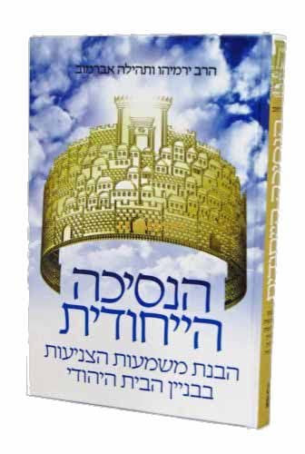 Amazon.com: The Unique Princess (Hebrew): 9781598268607: Tehilla ...