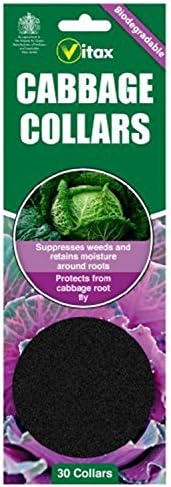 60 x Vitax Cabbage Collars Deters Root Flies & Repels Slugs Snails ...
